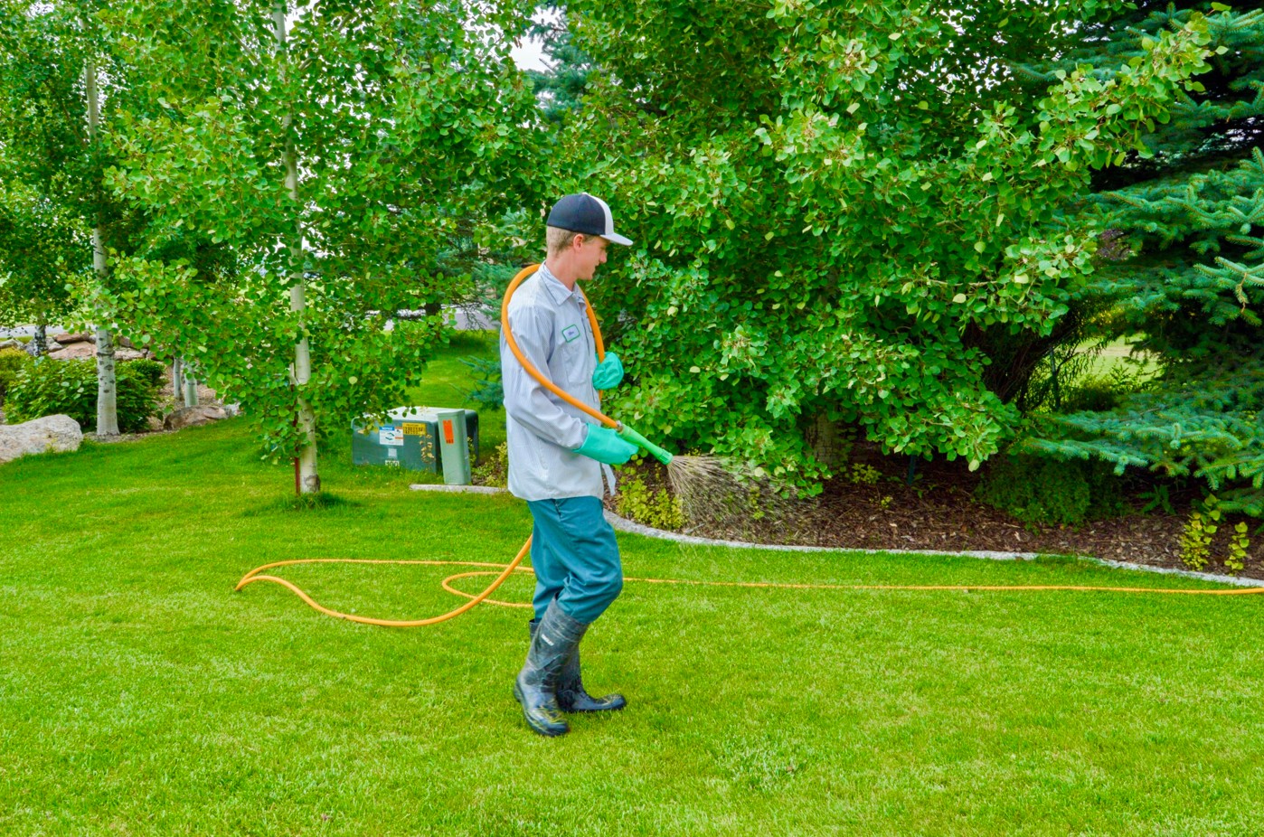 Managing Turf Pests: A Guide for Healthy Lawns